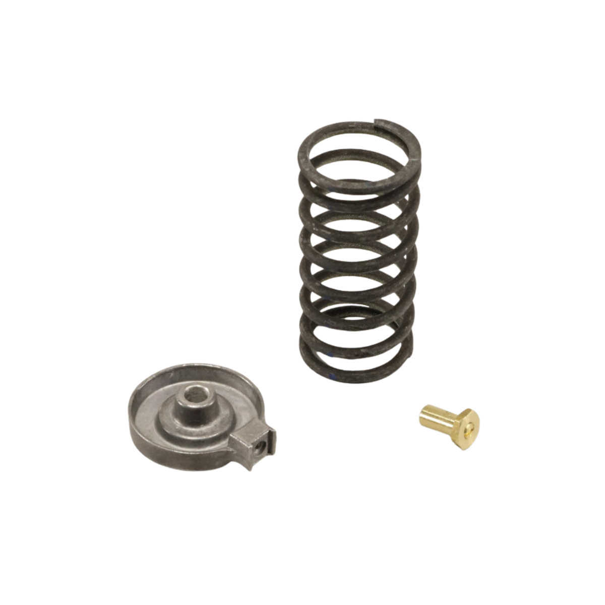 Johnson Controls VG7000-1006 9PSI - 13PSI Spring Range Pressure, Sprin ...